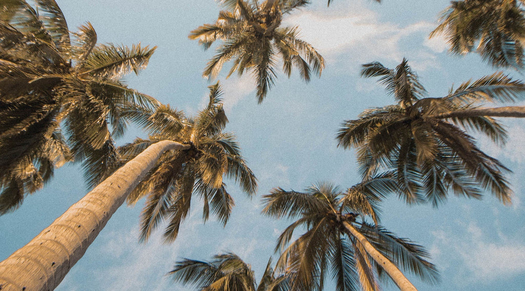 5 sun protection tips for this summer – Solbari