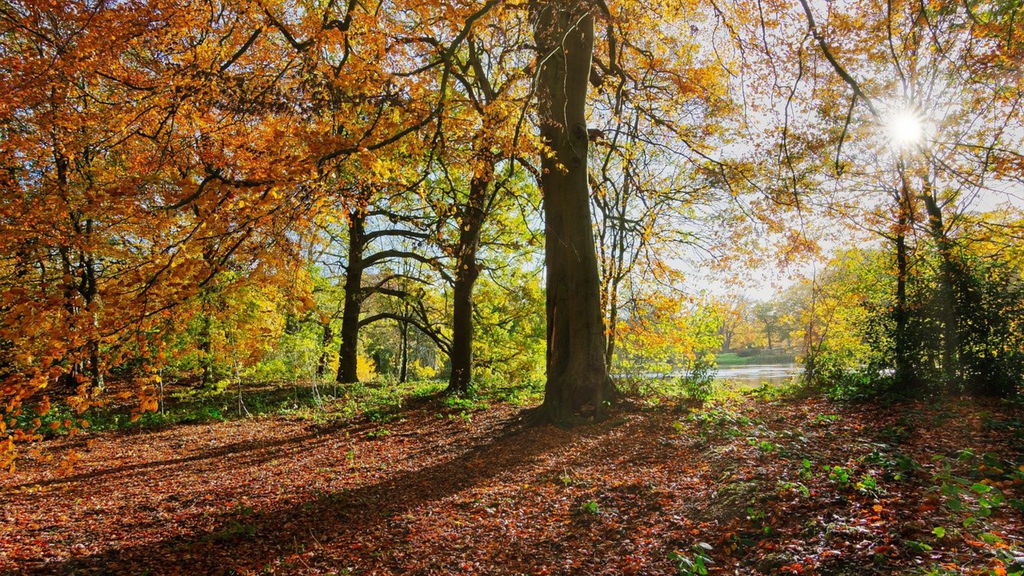 What is polymorphic light eruption? – Solbari